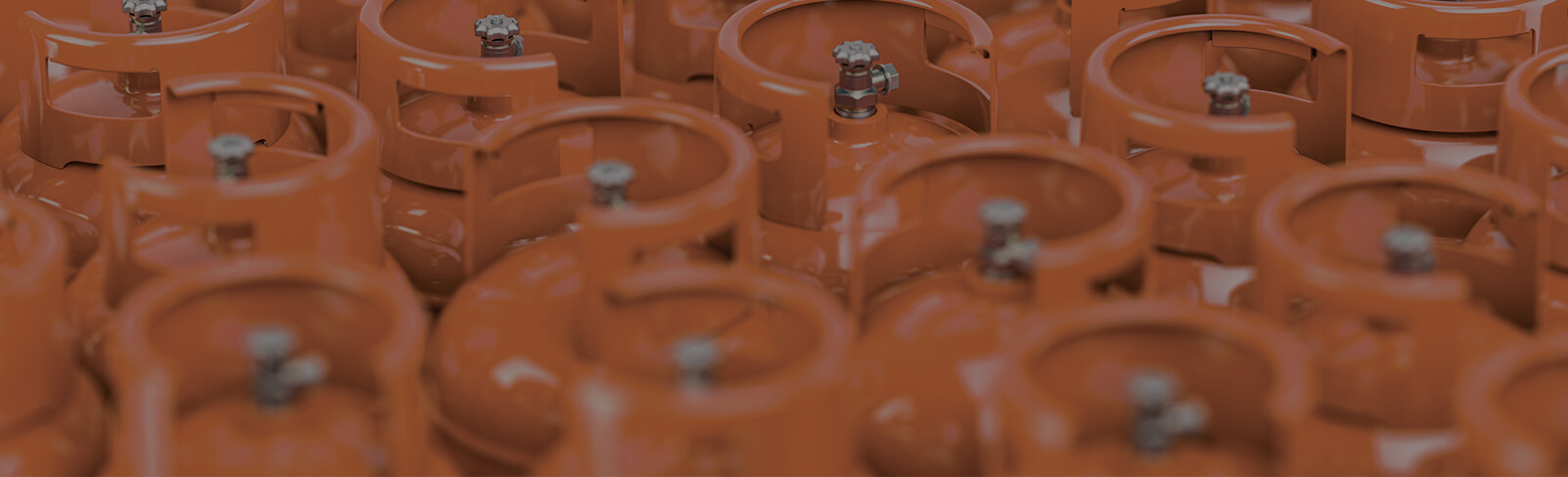 Sarjeant Propane Emergency Procedures - Sarjeant Propane